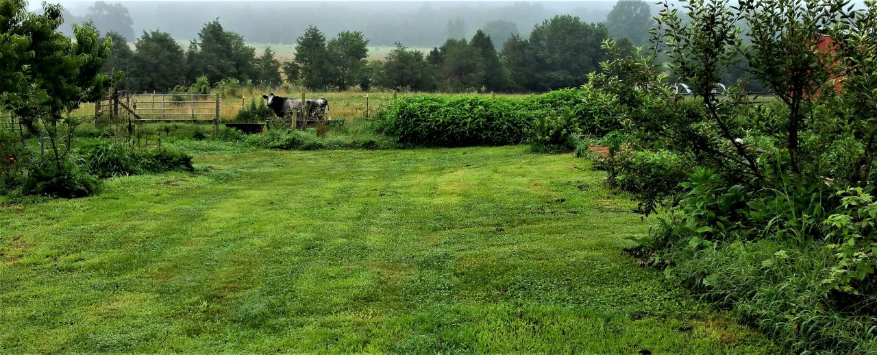 grass fed beef, pastured poultry, pork, lamb, yarn, wool, honey